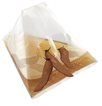 Snail Jail sneglefælde til dræbersnegle